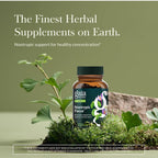 multivitamins for enhanced concentration
