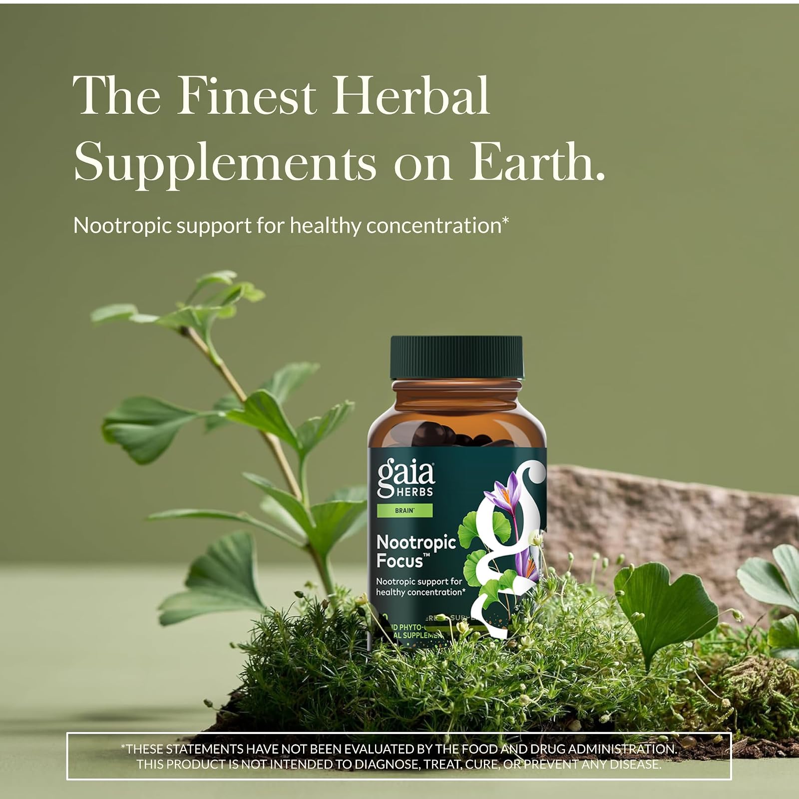 multivitamins for enhanced concentration