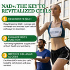 multivitamins for enhanced energy levels