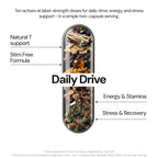 multivitamins for enhanced energy levels