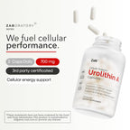 Multivitamins for enhanced vitality