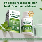 multivitamins for everyday wellness