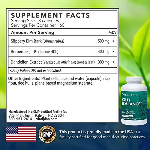Multivitamins for gut health support
