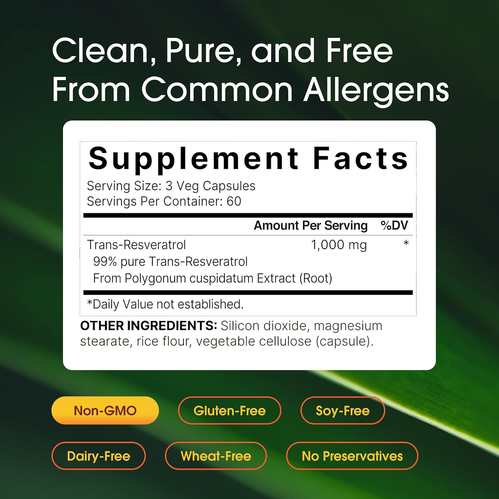 multivitamins for healthy aging