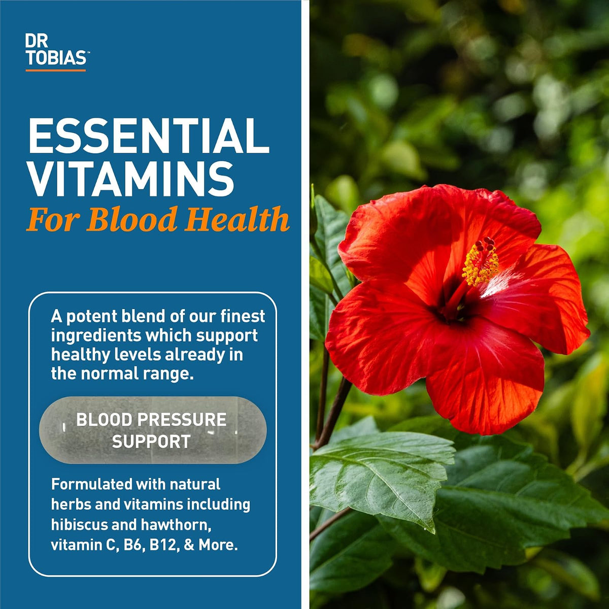 multivitamins for healthy blood pressure