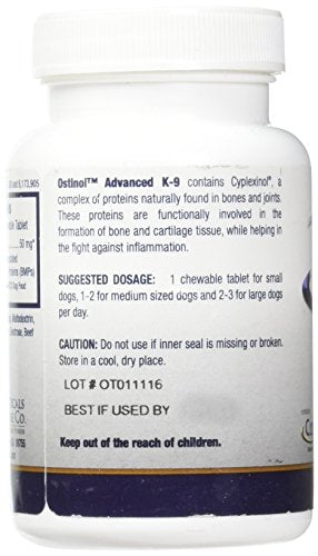 multivitamins for healthy dogs