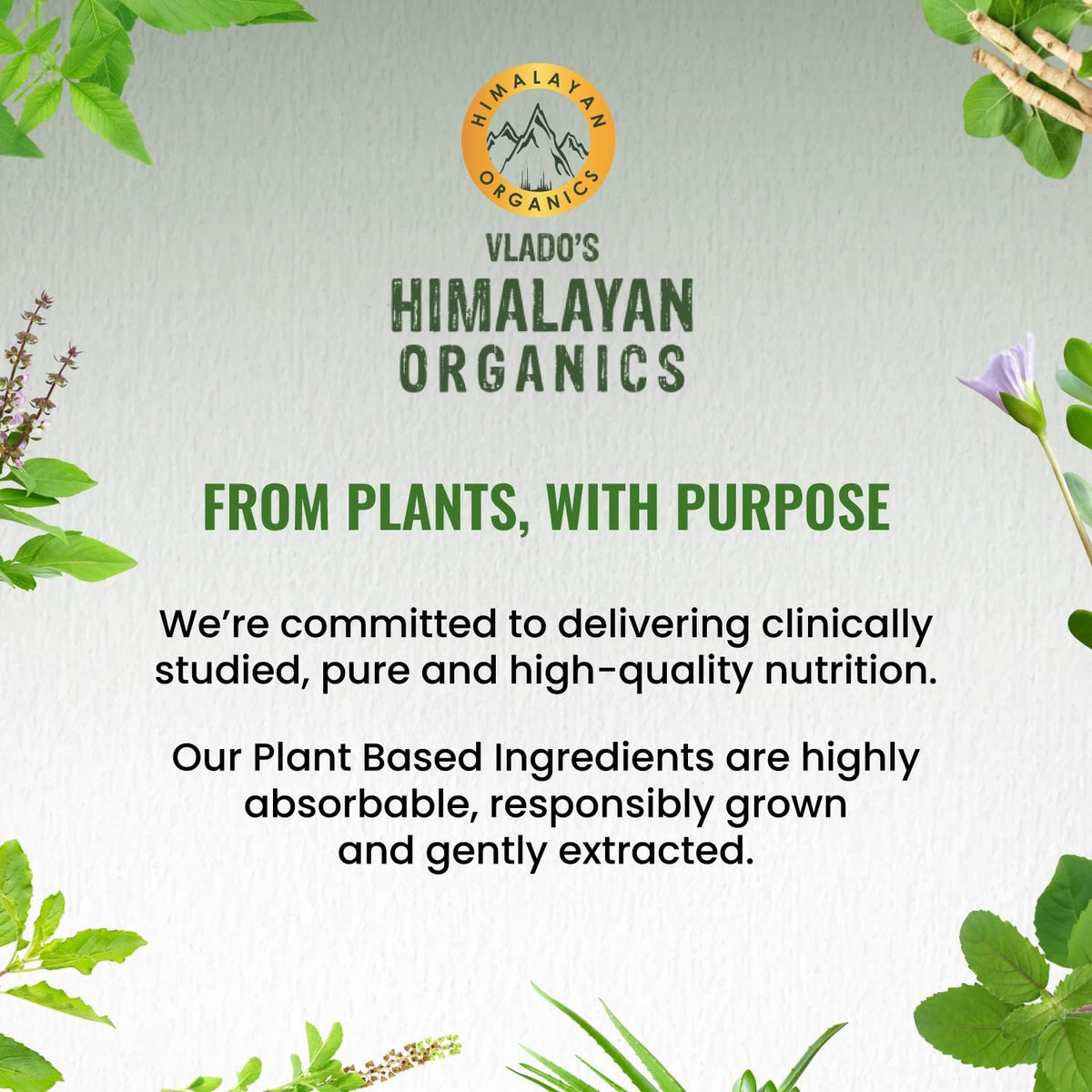 multivitamins for healthy hair growth