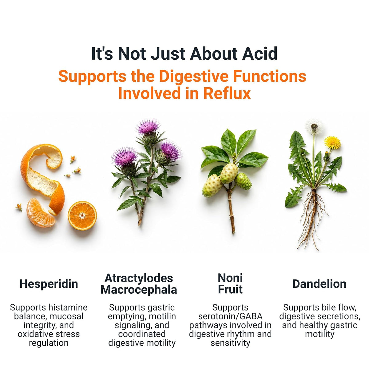 multivitamins for heartburn management