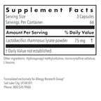 multivitamins for immune support