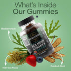 multivitamins for immune system boost
