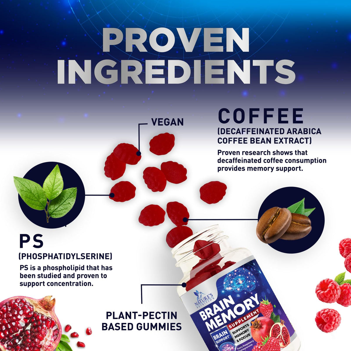 multivitamins for improved cognitive health