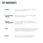 Multivitamins for improved energy levels