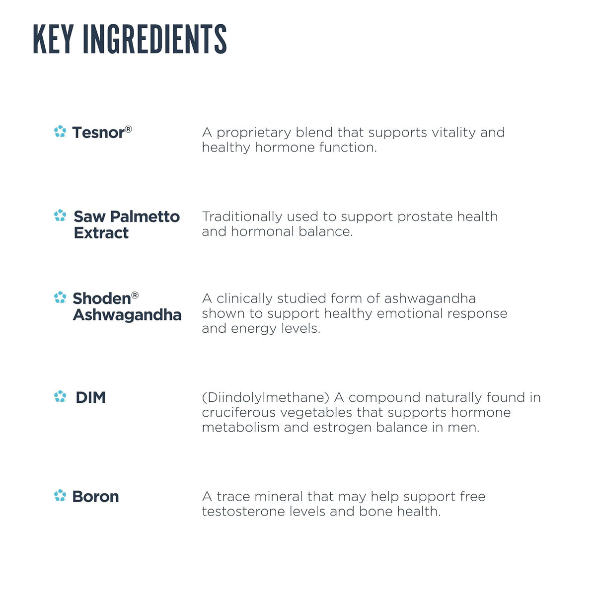 Multivitamins for improved energy levels