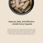 multivitamins for improved memory function
