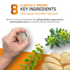 multivitamins for improved mental clarity