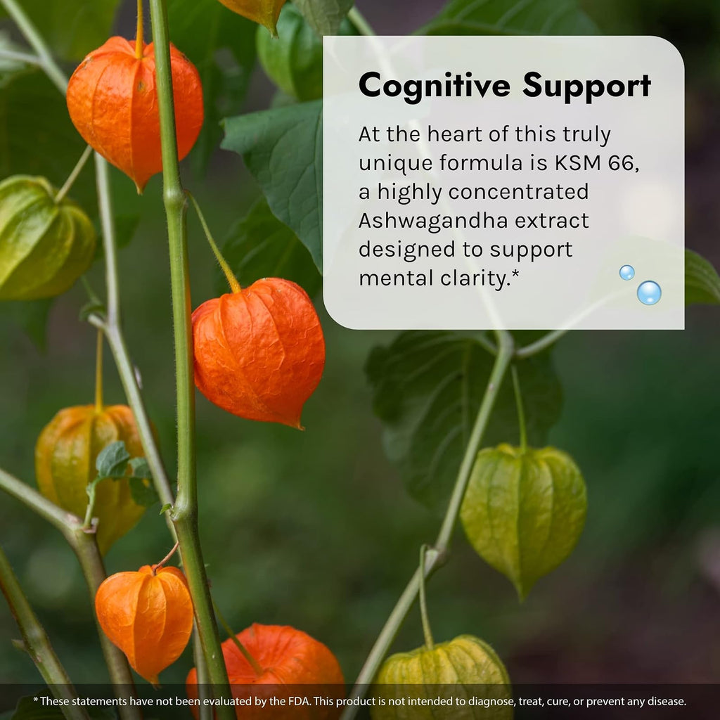 multivitamins for improved mental performance