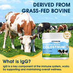 multivitamins for kids immune support
