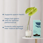 multivitamins for male reproductive wellness