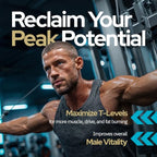multivitamins for men's health support