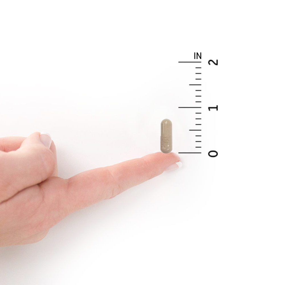 multivitamins for men's immune support