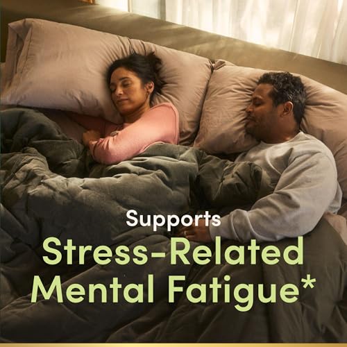 multivitamins for mental fatigue support