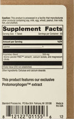 multivitamins for optimal health support