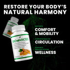 multivitamins for optimal health