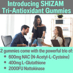 multivitamins for overall health support