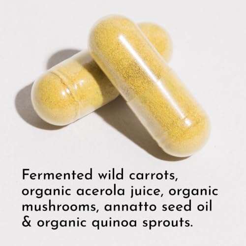 multivitamins for overall wellness support