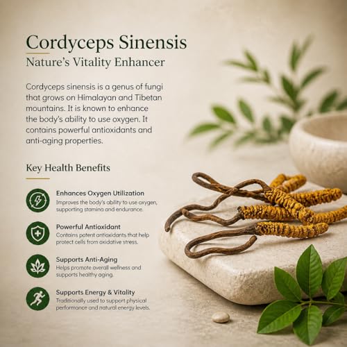 multivitamins for overall wellness