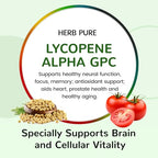 multivitamins for overall wellness
