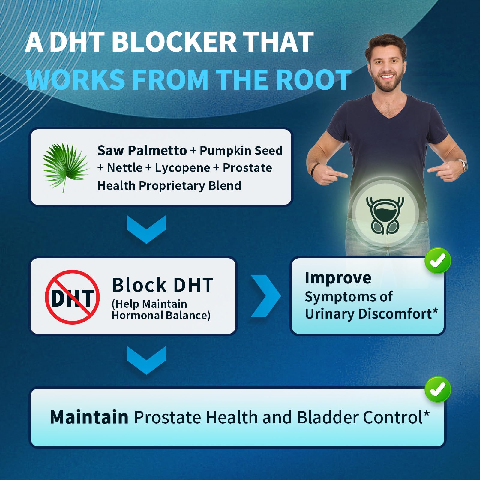 Multivitamins for seniors prostate support