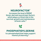 multivitamins for seniors with gummies