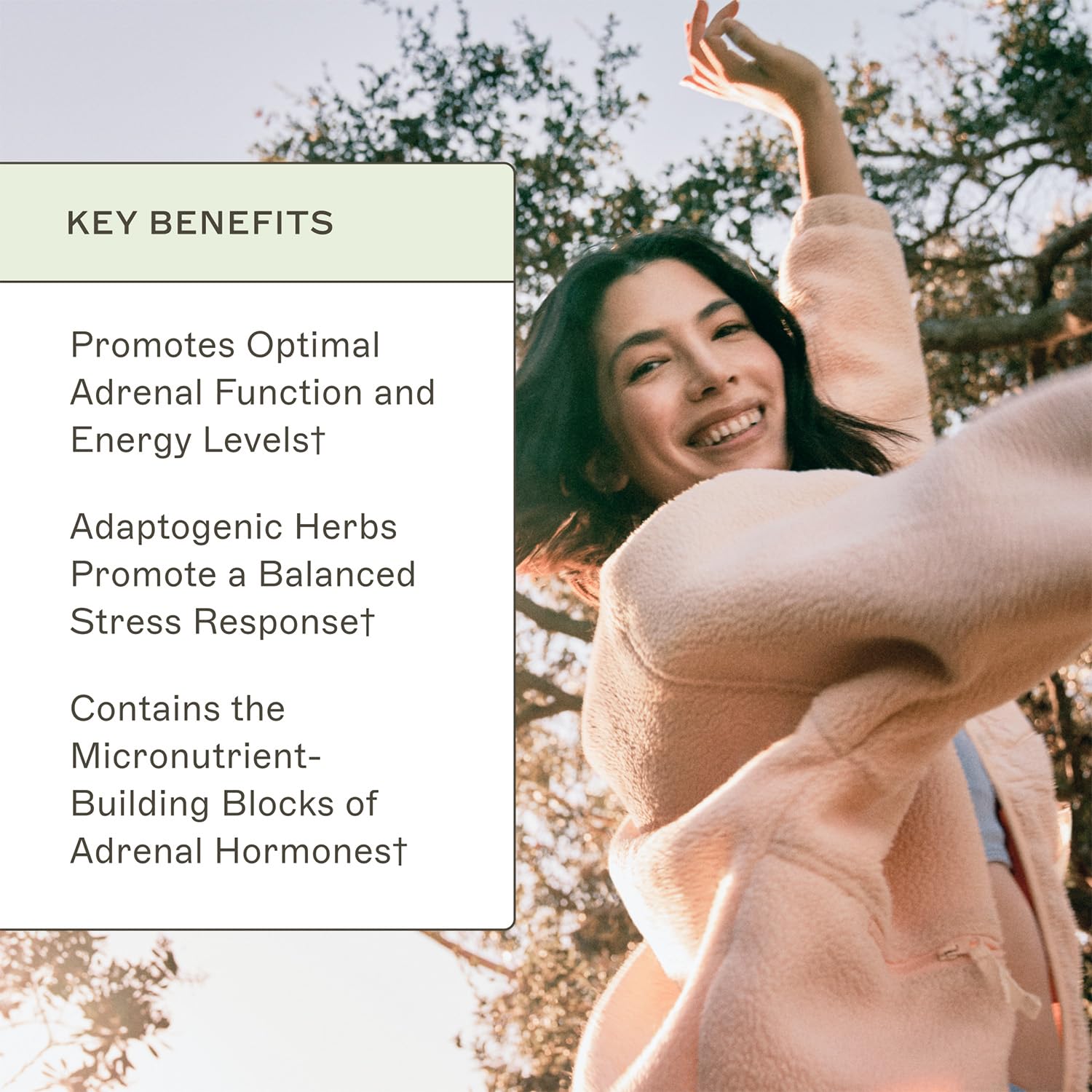 multivitamins for stress relief support