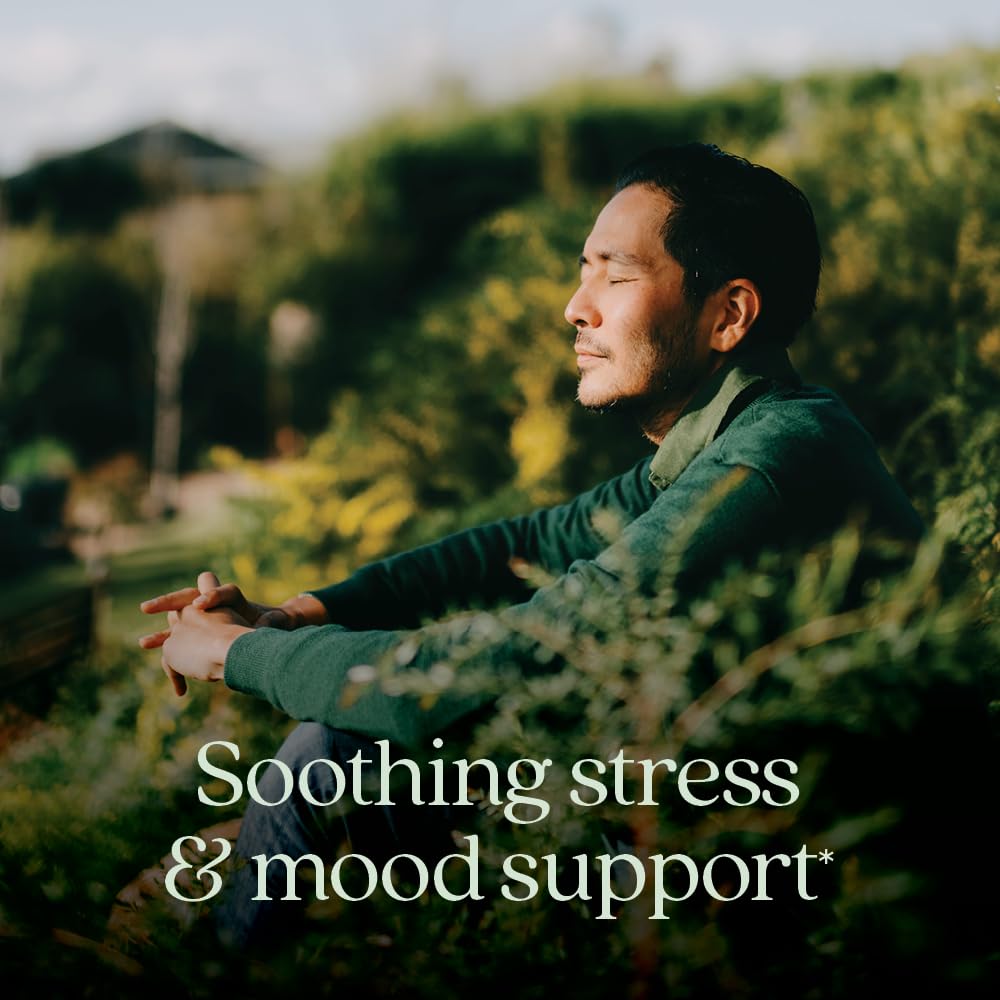 multivitamins for stress relief