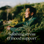 multivitamins for stress relief