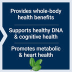 multivitamins to enhance energy levels
