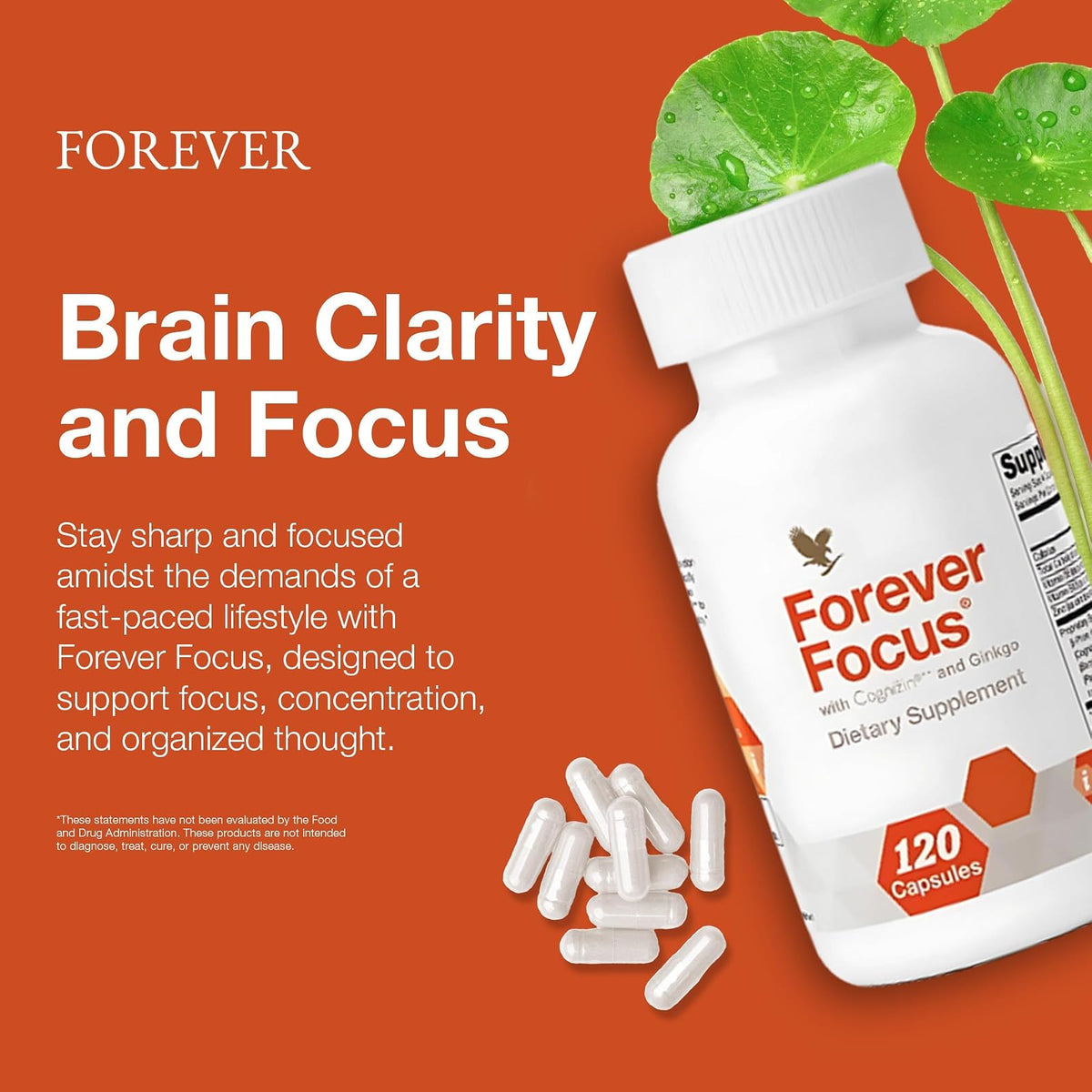 Multivitamins to enhance focus and concentration