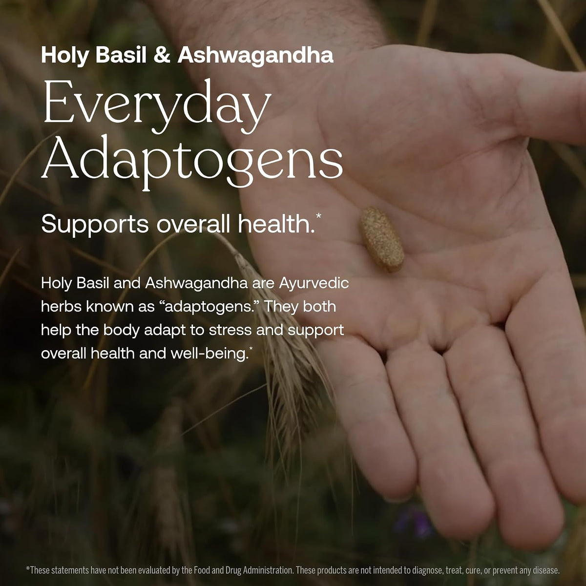 multivitamins to support active lifestyles