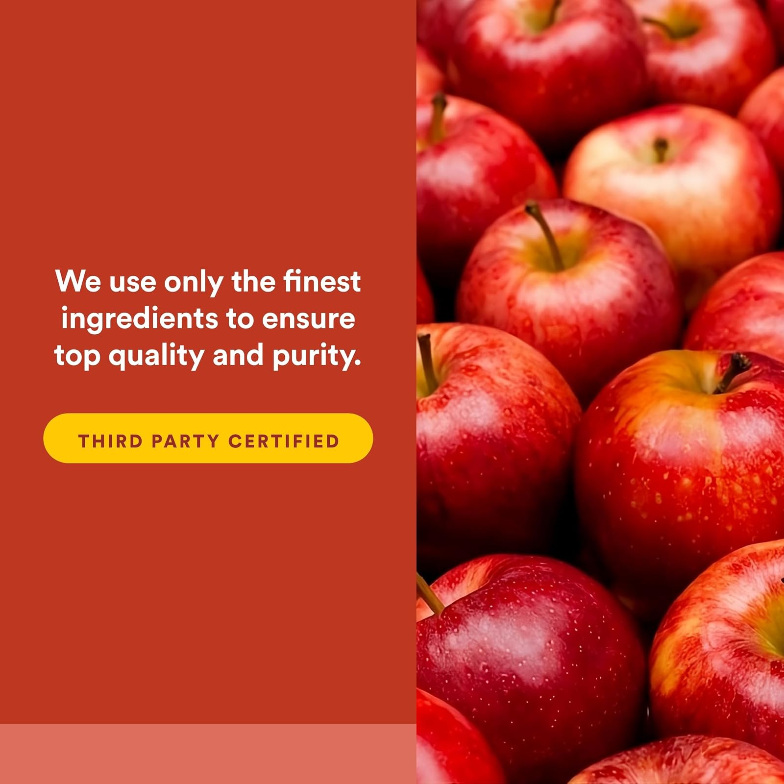 multivitamins to support immune health
