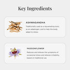 multivitamins to support mental wellness JSHealth