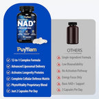 multivitamins to support overall wellness