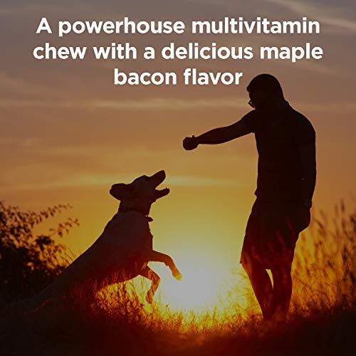multivitamins with omega-3 for dogs