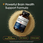 multivitamins with phosphatidylserine for cognitive support