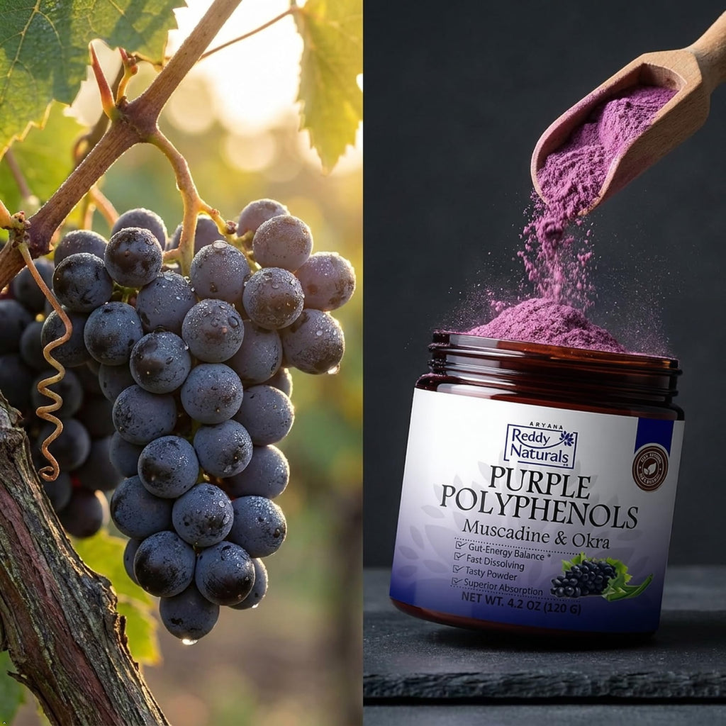 muscadine grape extract for wellness