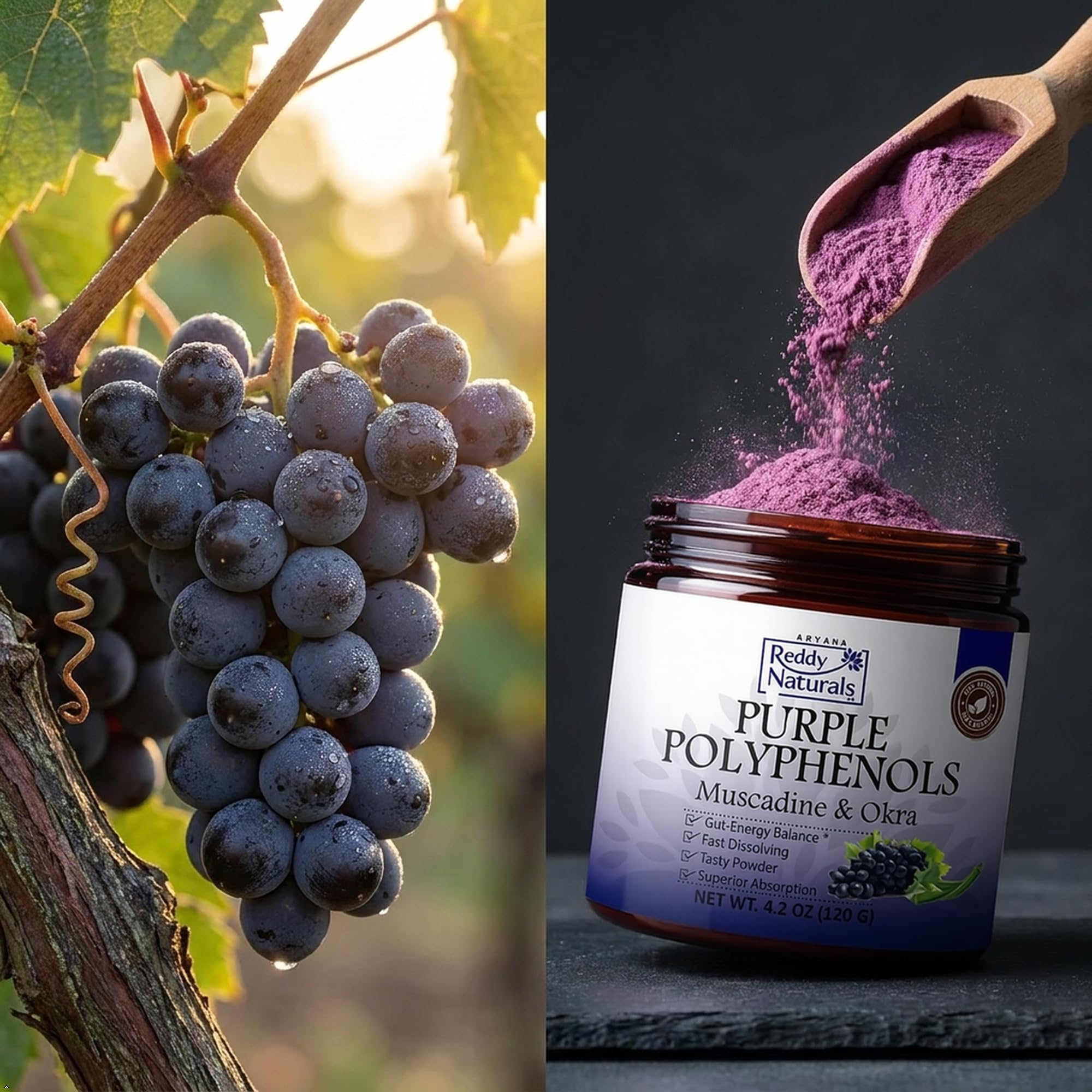 muscadine grape extract for wellness