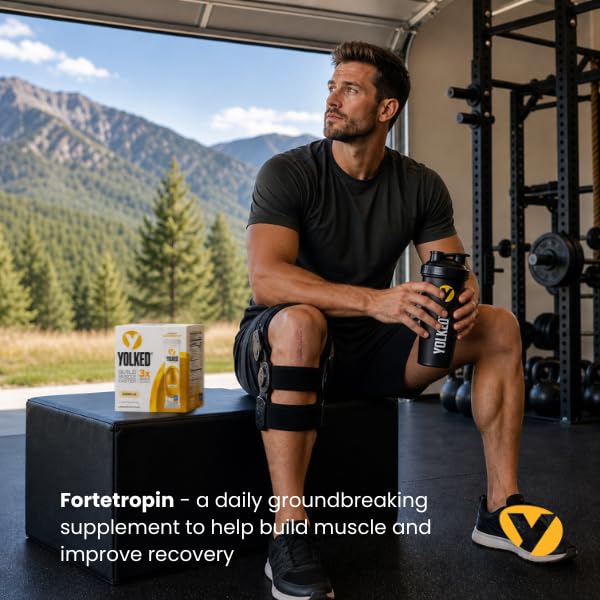 muscle building protein powder for athletes