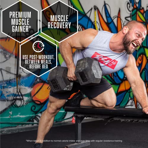 muscle building weight gainer