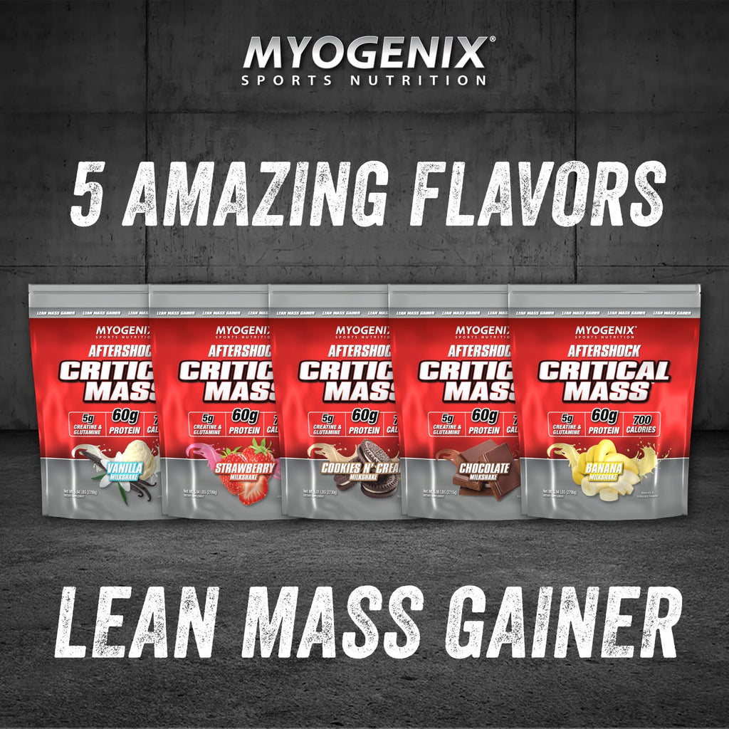 muscle building weight gainers