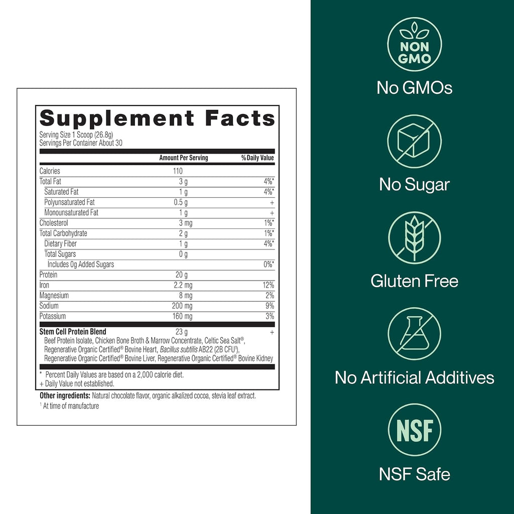 muscle recovery protein powder